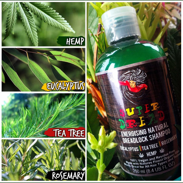 Super Dread Natural Dreadlock Shampoo - Hemp, Eucalyptus, Tea Tree and ...